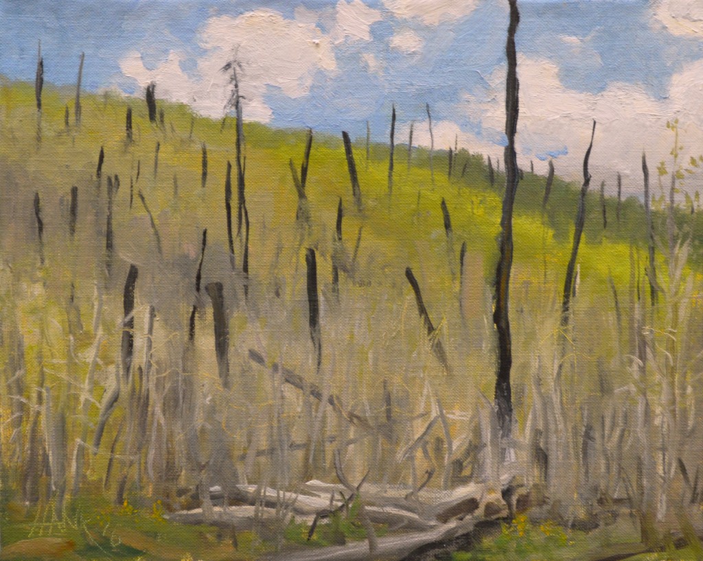 Field Studies | Travis Ivey