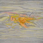 Collage | Travis Ivey